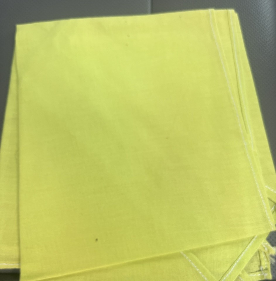 1938 Chester County Council Horseshoe Scout Reservation Neckerchief BSA ...