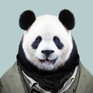 One Savvy Panda | eBay Stores