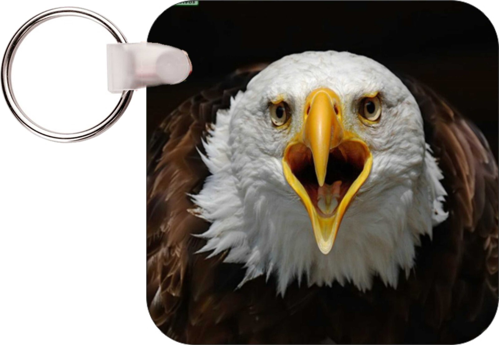 Bald Eagle Witch Key Ring Key Chain Metal Key Fob Vintage Photo Art | eBay