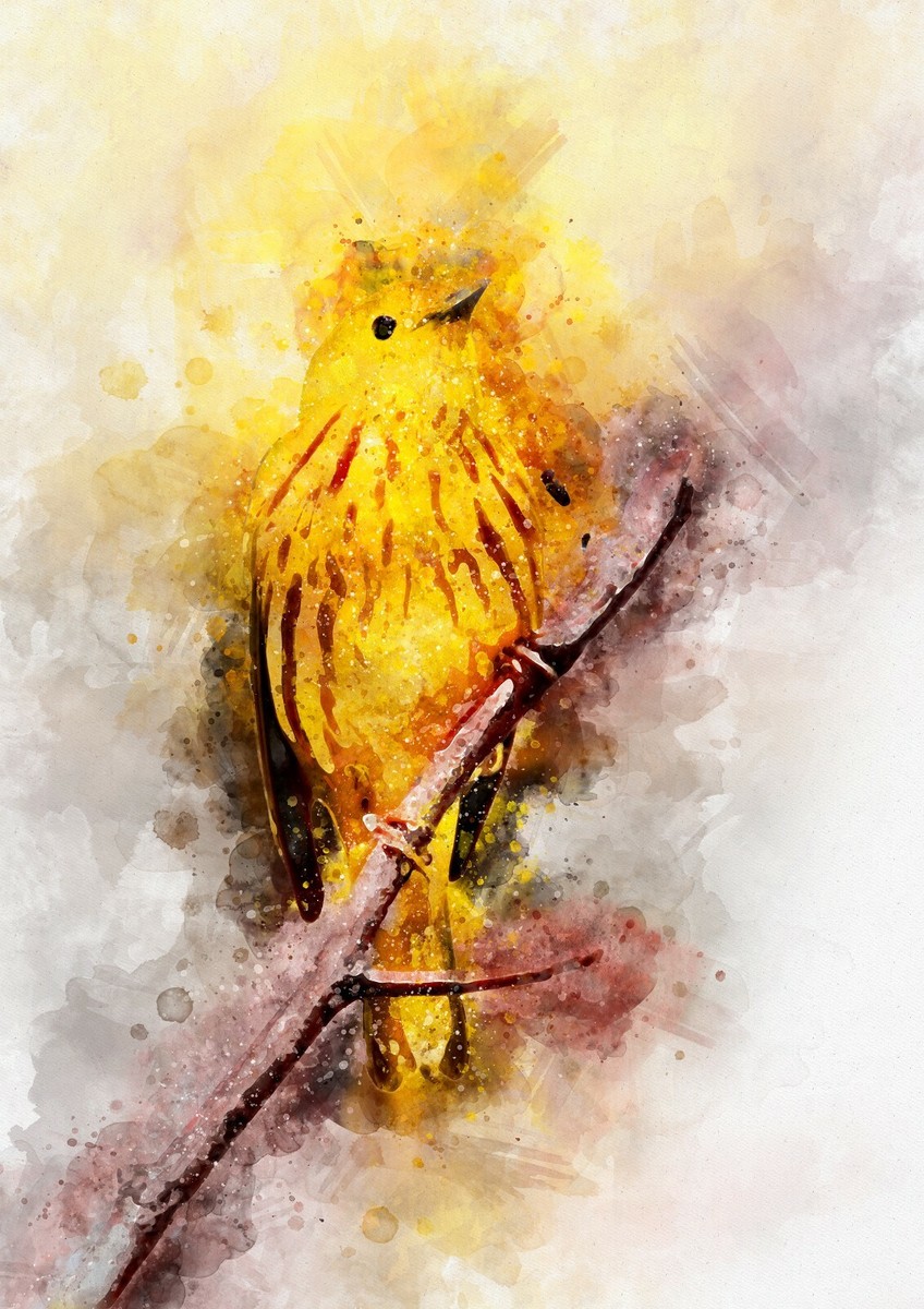 Yellow Bird Painting