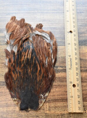 Lot 12, Natural India Hen Neck Cape Feathers for Fly Tying | eBay