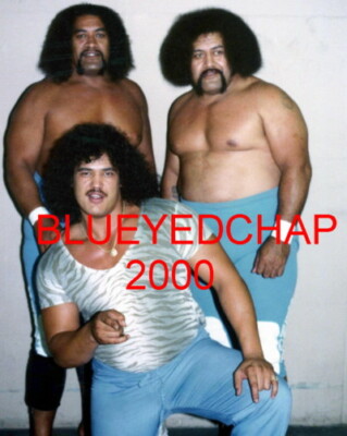 SAMOANS AFA & SIKA & TAMA WRESTLER 8 X 10 WRESTLING PHOTO WWF NWA | eBay