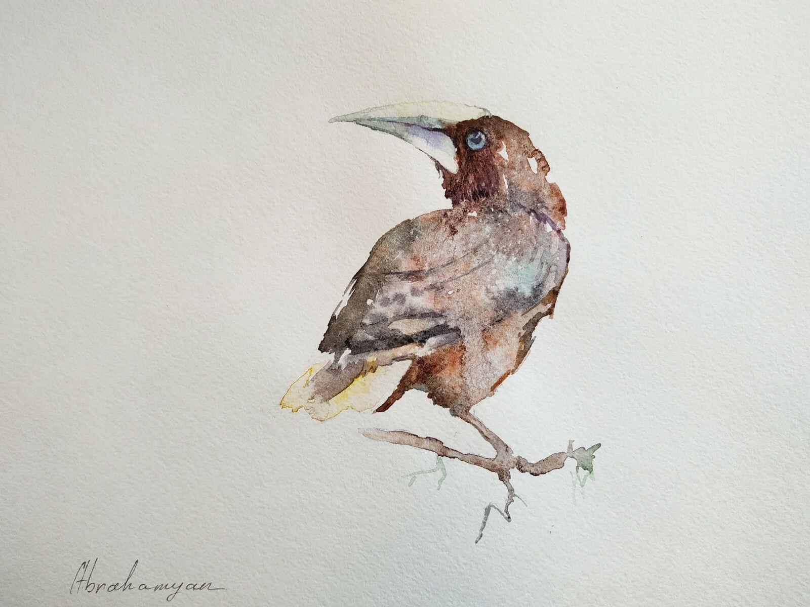 Myna, Birds, Watercolor artwork, Handmade, Original painting on paper ...