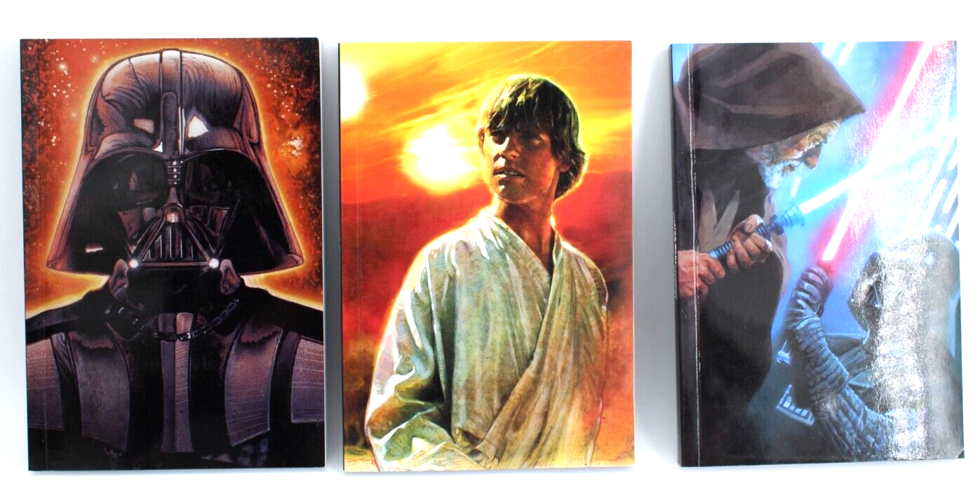Scholastic Star Wars Character Story Books 2000s Lot / 3 Skywalker ...