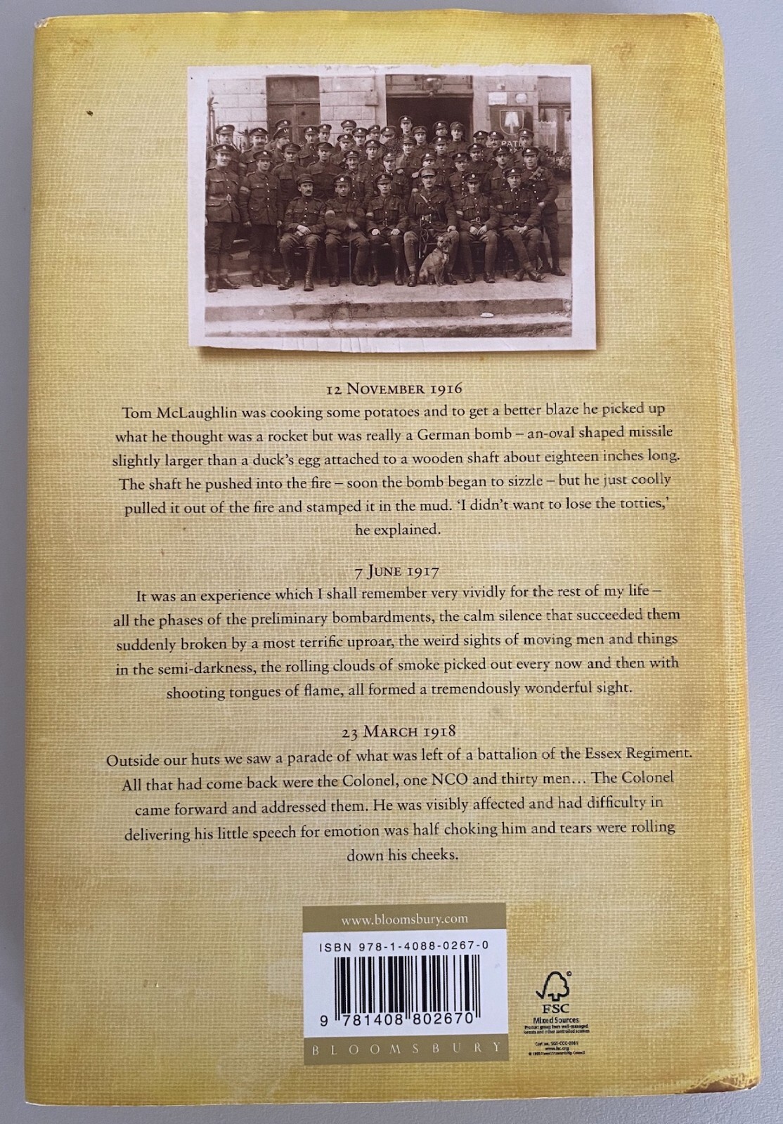 Sapper Martin: The Secret Great War Diary of Jack Martin by Richard Van ...