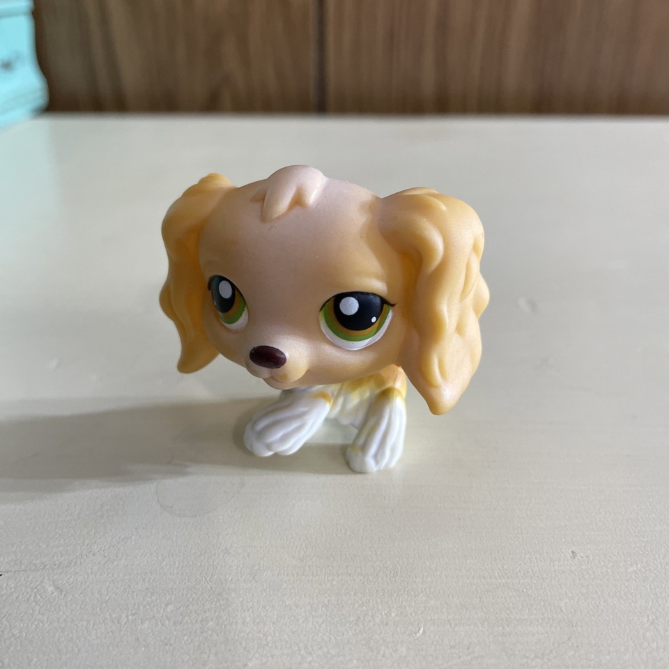 Hasbro Authentic Littlest Pet Shop #79 Cocker Spaniel Dog Green Eyes | eBay