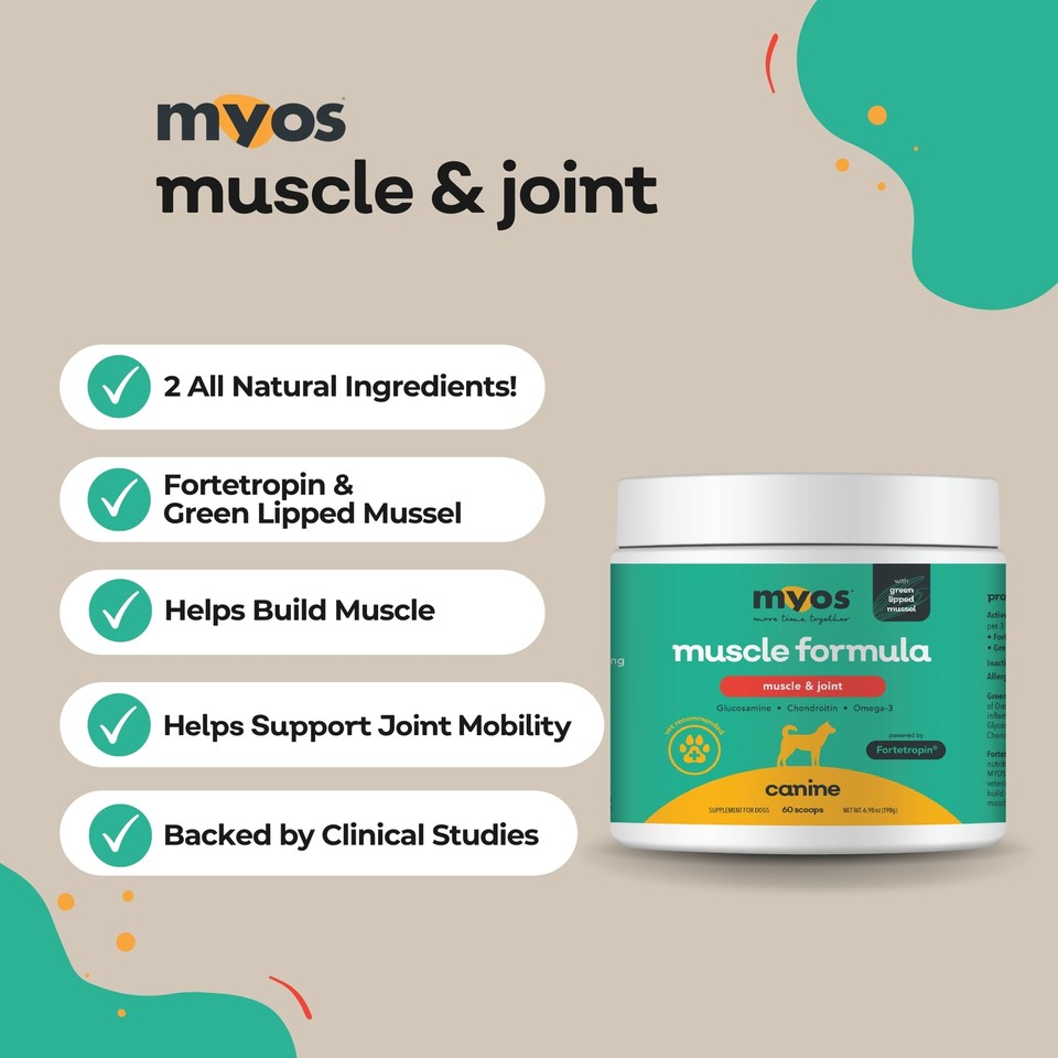 MYOS Muscle & Joint Powered by Fortetropin with Green Lipped Mussel 198 ...