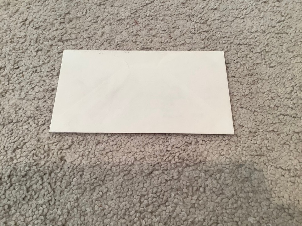 1976 SQUIRREL Idaho: Signed FOLK ART WATERCOLOR Postal Cover GEORGE ...