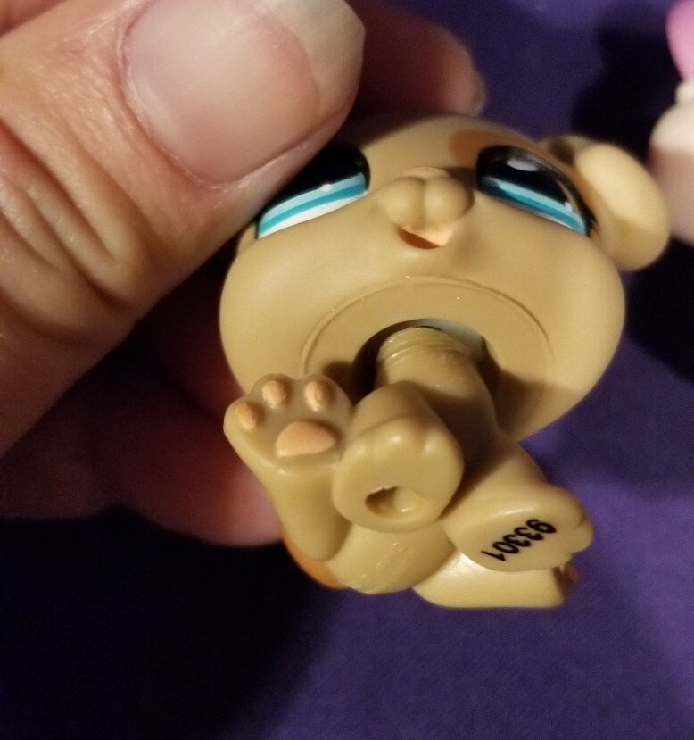 Authentic Littlest Pet Shop LPS #1481 Winky Kitten Cat #1482 Brown ...