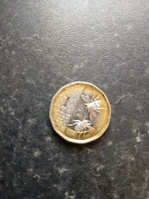 VERY RARE KING CHARLES THIRD BEES 2023 £1 POUND COIN, | eBay UK