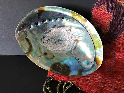 Vintage Polished New Zealand Paua Shell …beautiful display piece | eBay ...
