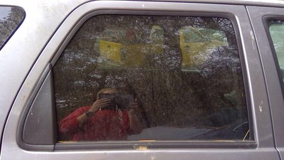 2001 - 2007 Ford Escape Rear Door Glass RH Passenger Privacy OEM ...