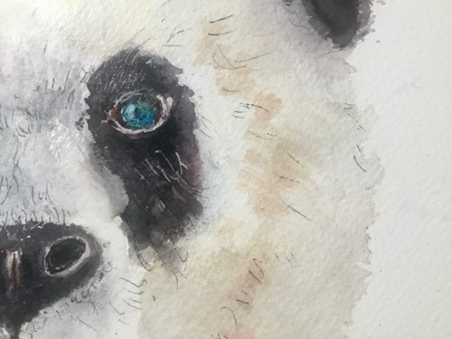 Gentle Eyes of the Panda – Original Watercolor Portrait on Pape | eBay
