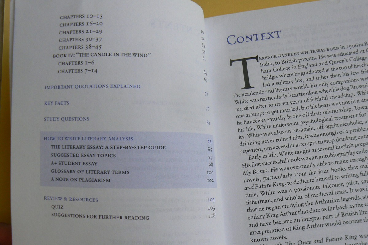 Once And Future King Sparknotes