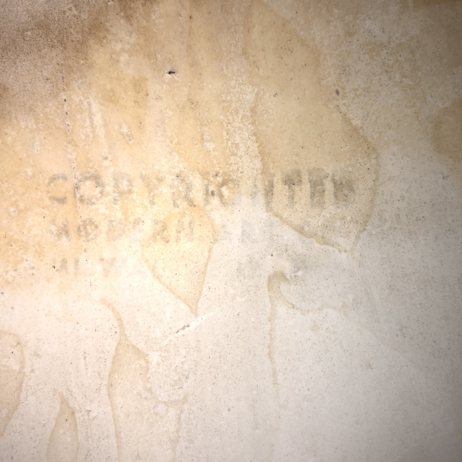 2 Vintage MODERN ART CO Plaster Chalkware 9" FLOWER WALL PLAQUES Dated ...