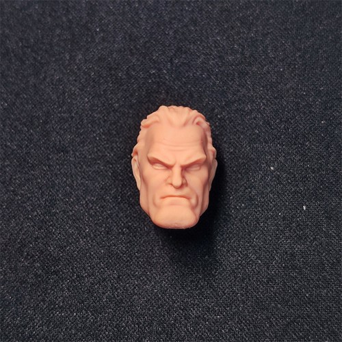 1/10 Scale The Normal Batman Grandfather Head Sculpt Unpainted Fit 7 ...