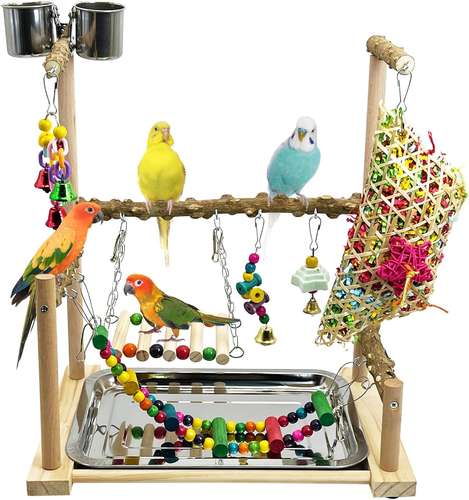Parrot Play Stand Parakeet Playground Bird Jungle Gym Wood Conure ...