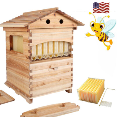 Agriculture & Forestry - Honey Bee Hive