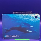 Animal Card Fish Sea Creatures 4.25 x 2.75 Inch Made in Japan Japanese ...