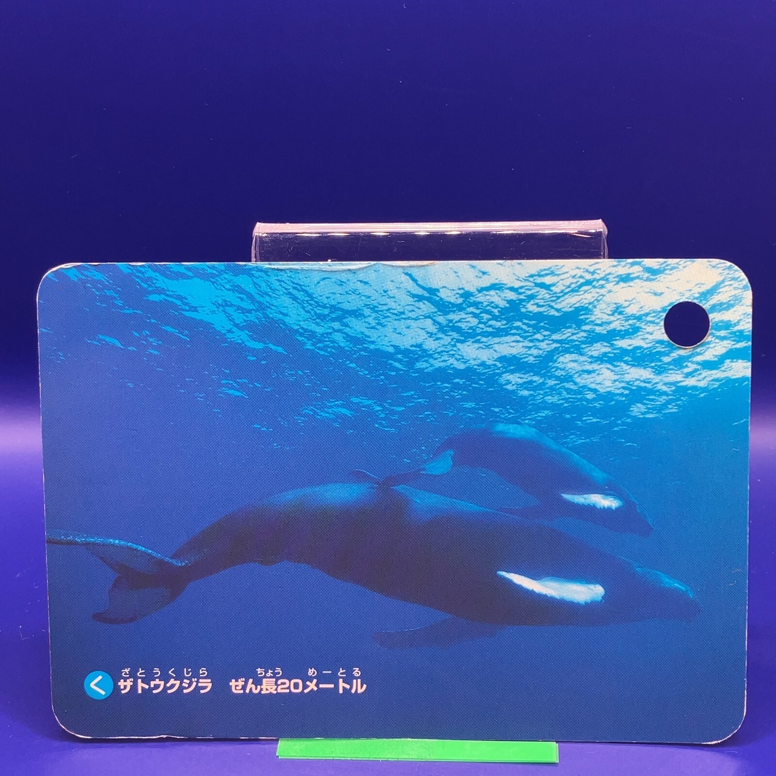 Animal Card Fish Sea Creatures 4.25 x 2.75 Inch Made in Japan Japanese ...