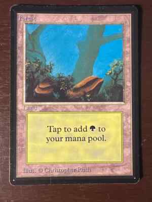 Magic the Gathering MTG Excellent - Forest Limited Edition Beta Free ...