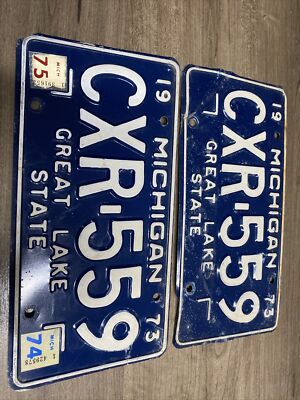 1973 license plate pair | eBay
