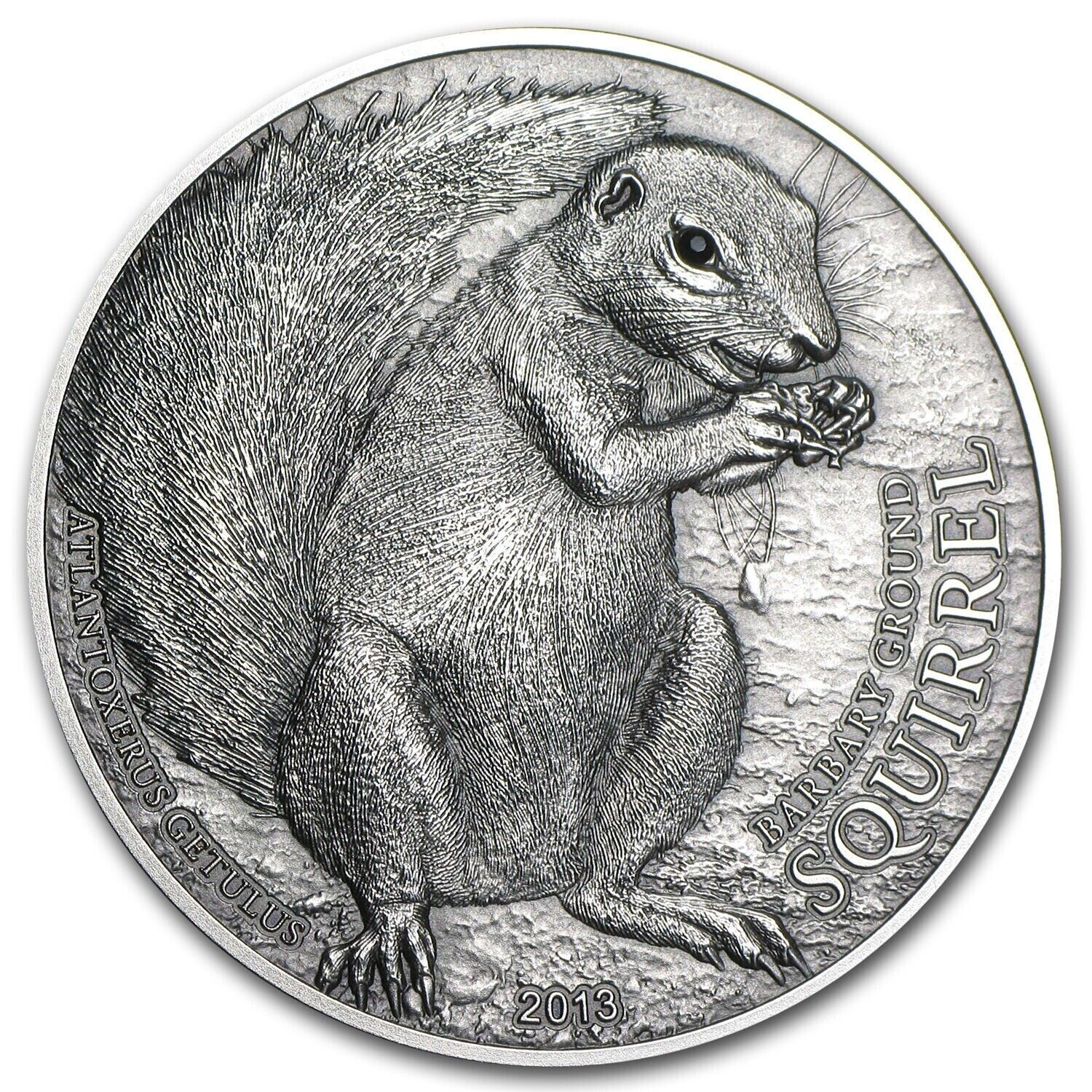 Palau 2013 Squirrels of the World Barbary $5 Pure Silver Coin Swarovski ...