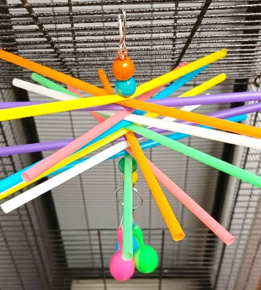 Straw Helicopter Maraca Toy Safe Shredding Sound for Sugar Gliders ...