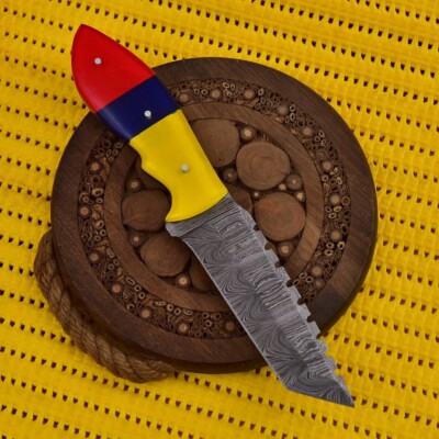 CUSTOM HAND FORGED DAMASCUS STEEL HUNTING TANTO KNIFE & COLOMBIA FLAG ...