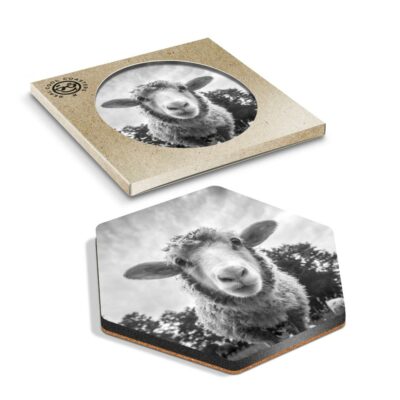 1 x Hexagon Coaster - BW - Cute Sheep Lamb Face Animals Farm #41071 ...