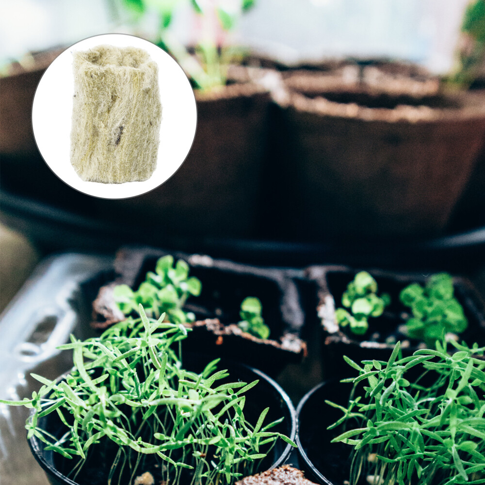 Hydroponic Starter Plugs How To Use Rockwool Cubes For Growing, Seed