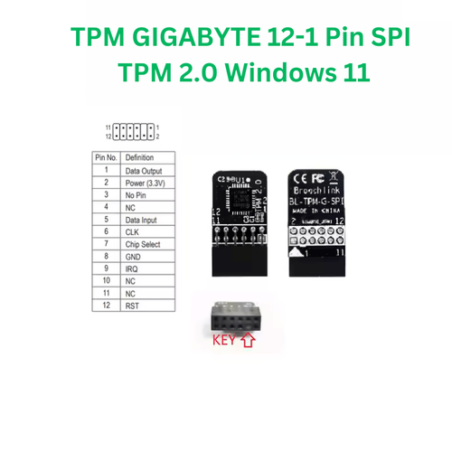 TPM 2.0 Gigabyte 12-1 pin SPI | Trusted Platform Modul | Windows 11 ...