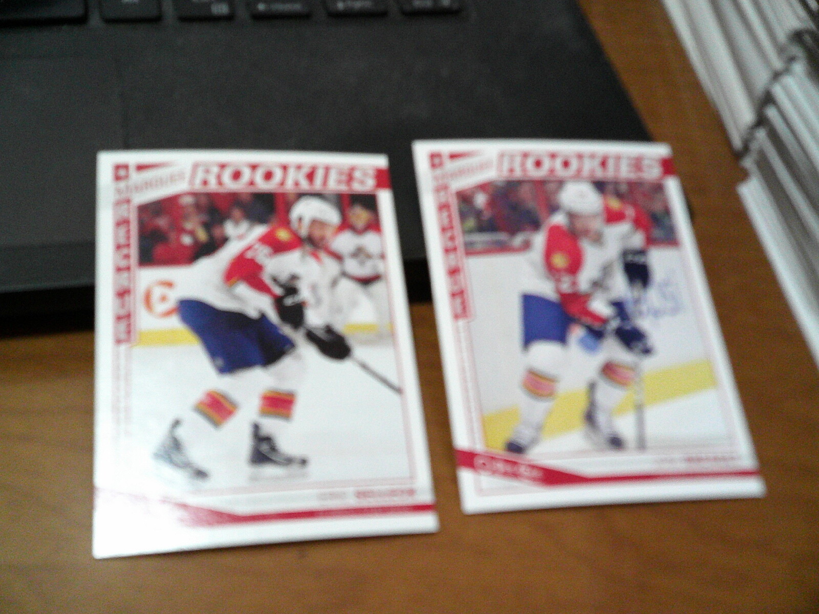 2 dif 2013-14 O-PEE-CHEE MARQUEE ROOKIES-PANTHERS- ERIC SELLECK & JON ...
