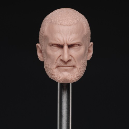 1/6 Male Head Sculpt Wolverine Logan Model For 12inch PH TBL Action ...