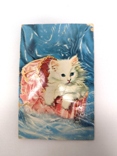 Postcard Divided Back Squeaker Cat Kitten Vintage | eBay