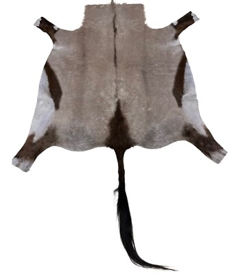 AFRICAN GENUINE GEMSBOK / GEMSBUCK HIDE SKIN RUG -SUPERB | eBay
