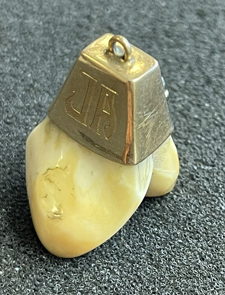 Huge 14Kt Gold Double Elks Tooth BPOE Fob..TJ667. | eBay