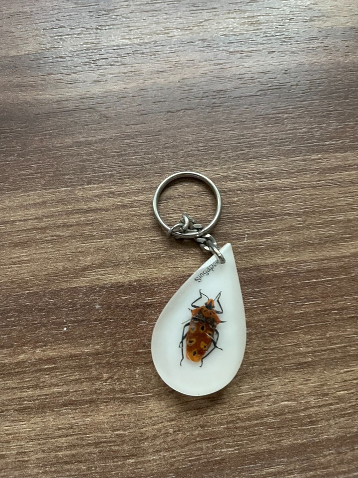 Unique Resin Insect Keychain - Vintage Real Bug Collectible | eBay