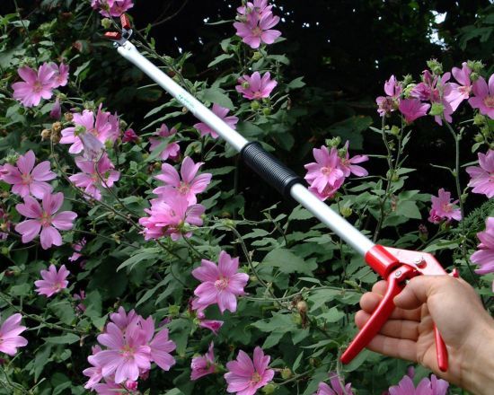 Darlac 1m Snapper Pruner Garden Cutter Long Reach Fruit Picker Dead ...