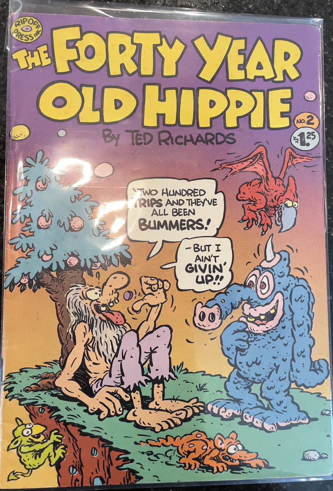 Forty Year Old Hippie #2 VF/NM 9.0 Underground Comic T Richards 1st ...