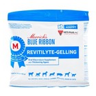 Blue Ribbon Revitilyte-Gelling Electrolyte Supplement 3.5 Oz By Merrick ...