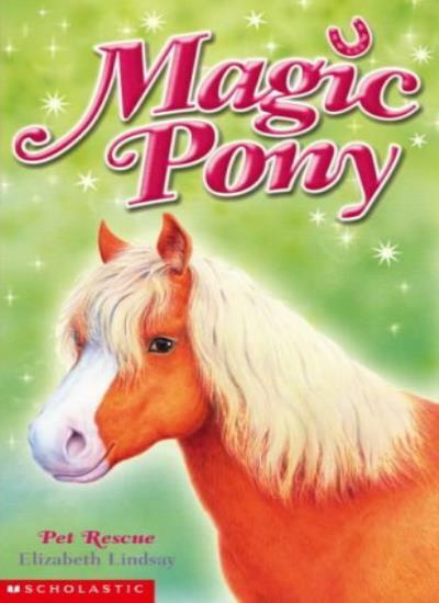 Lost Rabbit By Lindsay, Elizabeth | eBay