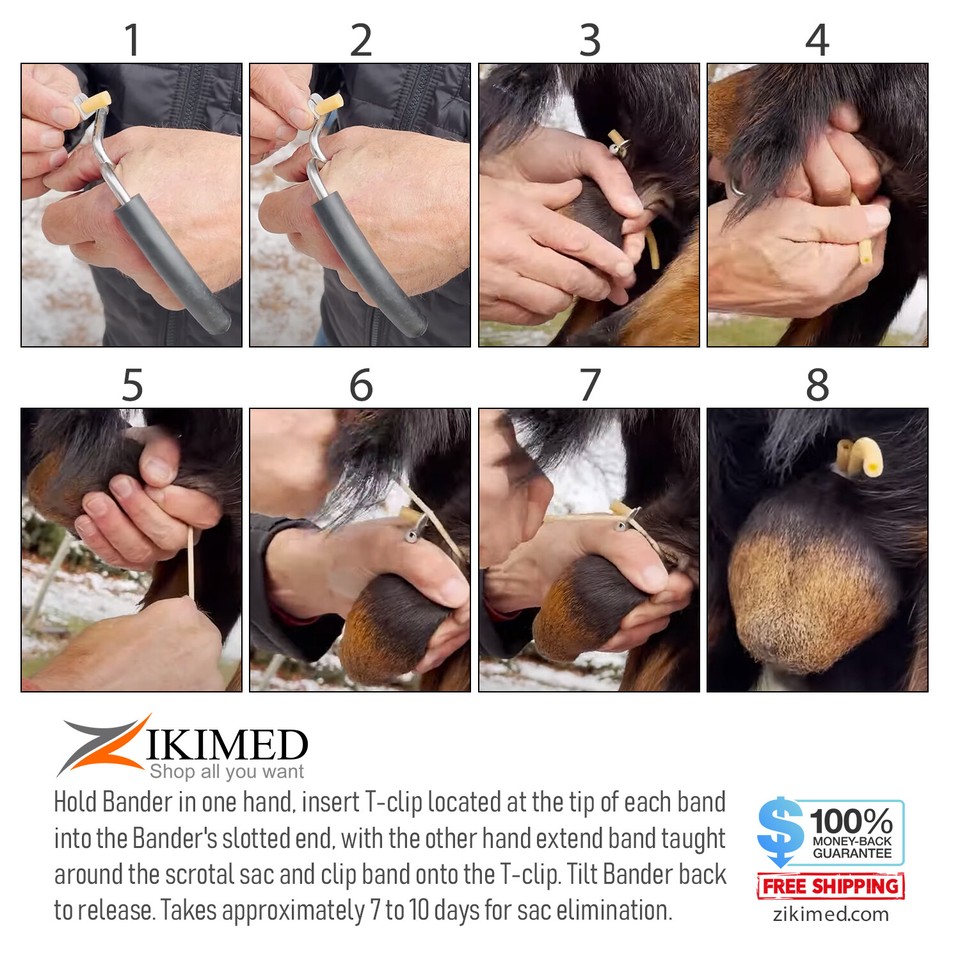 California Bloodless Castration Stainless Steel Bander & Bands (25 pk ...