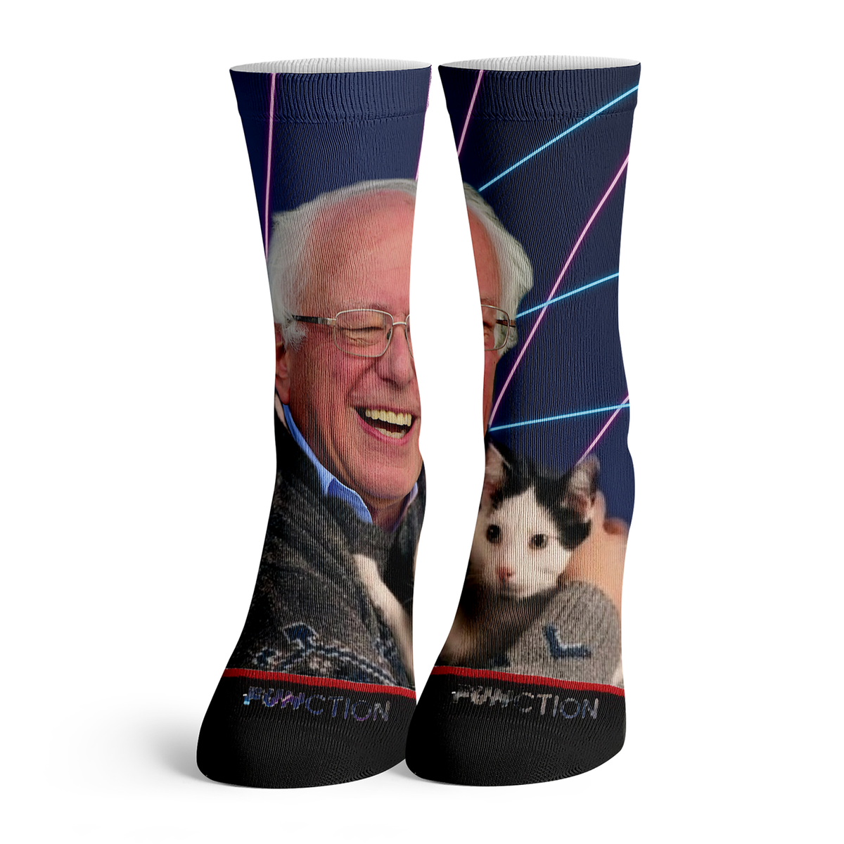 Bernie Sanders Cat Memes