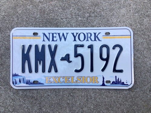 NEW YORK - EXCELSIOR - LICENSE PLATE | eBay