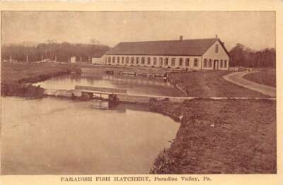 Paradise Valley Pennsylvania Paradise Fish Hatchery Vintage Postcard ...