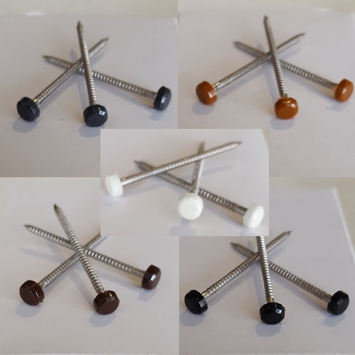 UPVC PolyTop Pins Nails Plastic Headed Stainless Steel 40mm choice of ...