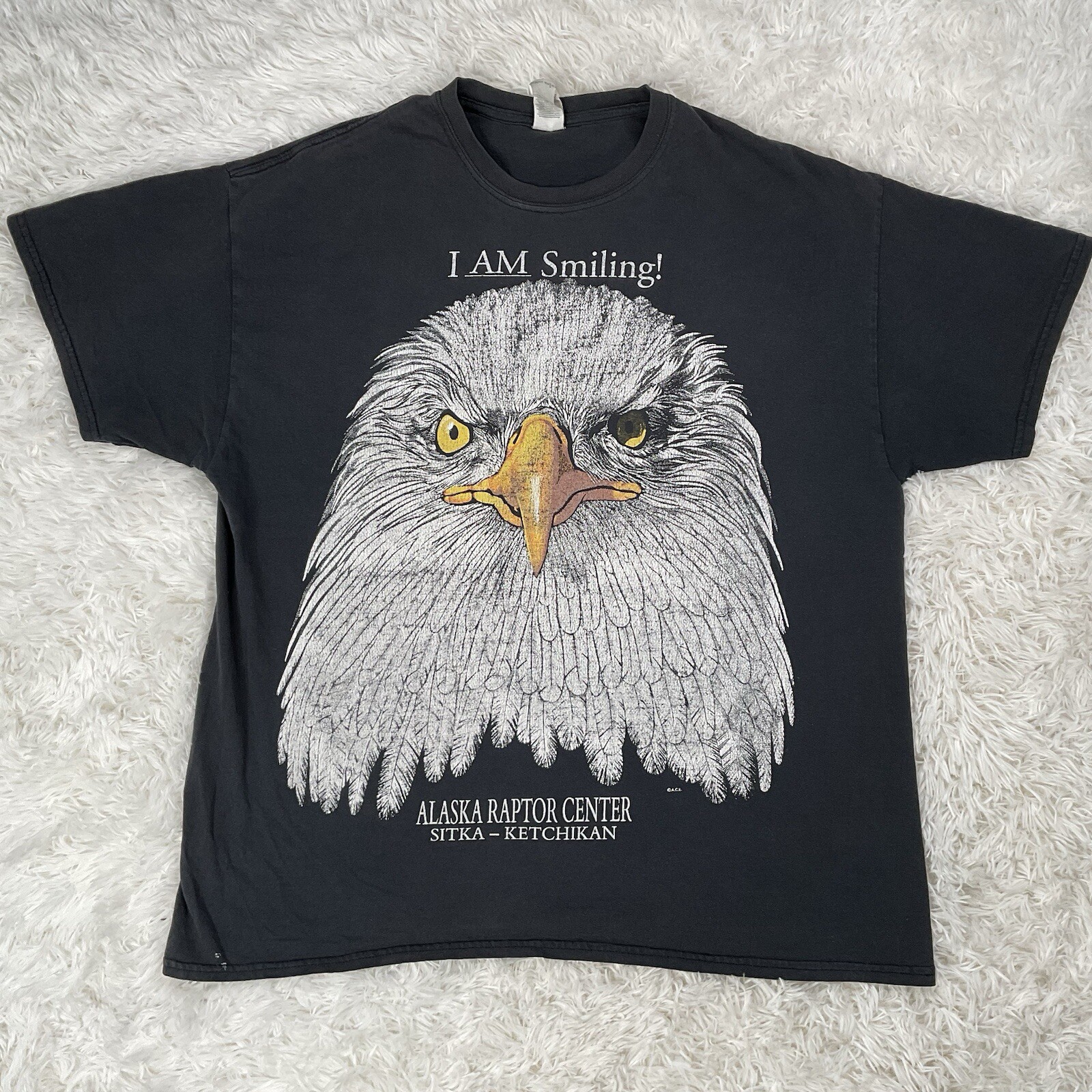 VTG Hanes Alaska Bald Eagle Patriotic Logo I am Smili… - Gem