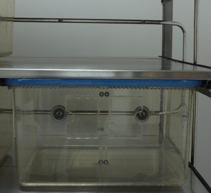 Thoren Stainless Steel Rat Rodent Housing Racks, Auto-Watering and ...