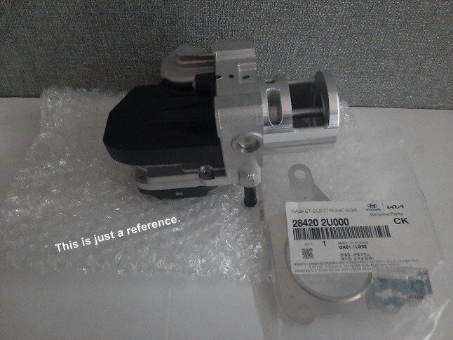 284102U000 OEM EGR Valve Ass'y Gaskets For Hyundai SantaFE Maxcruz (15 ...